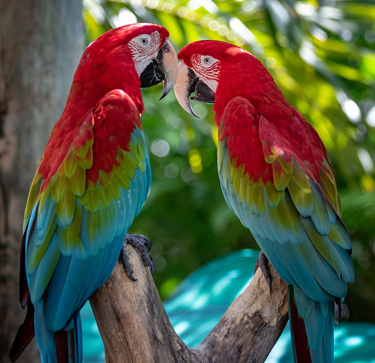 You are being redirected...